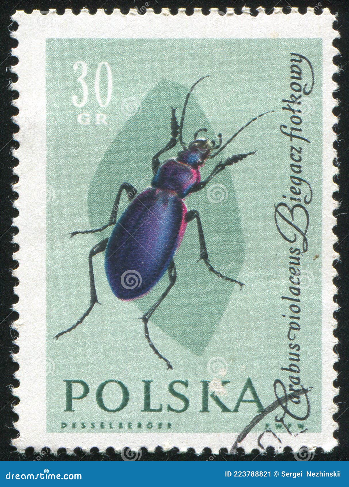 Poststamp insect editorial photo. Illustration of fauna - 223788821