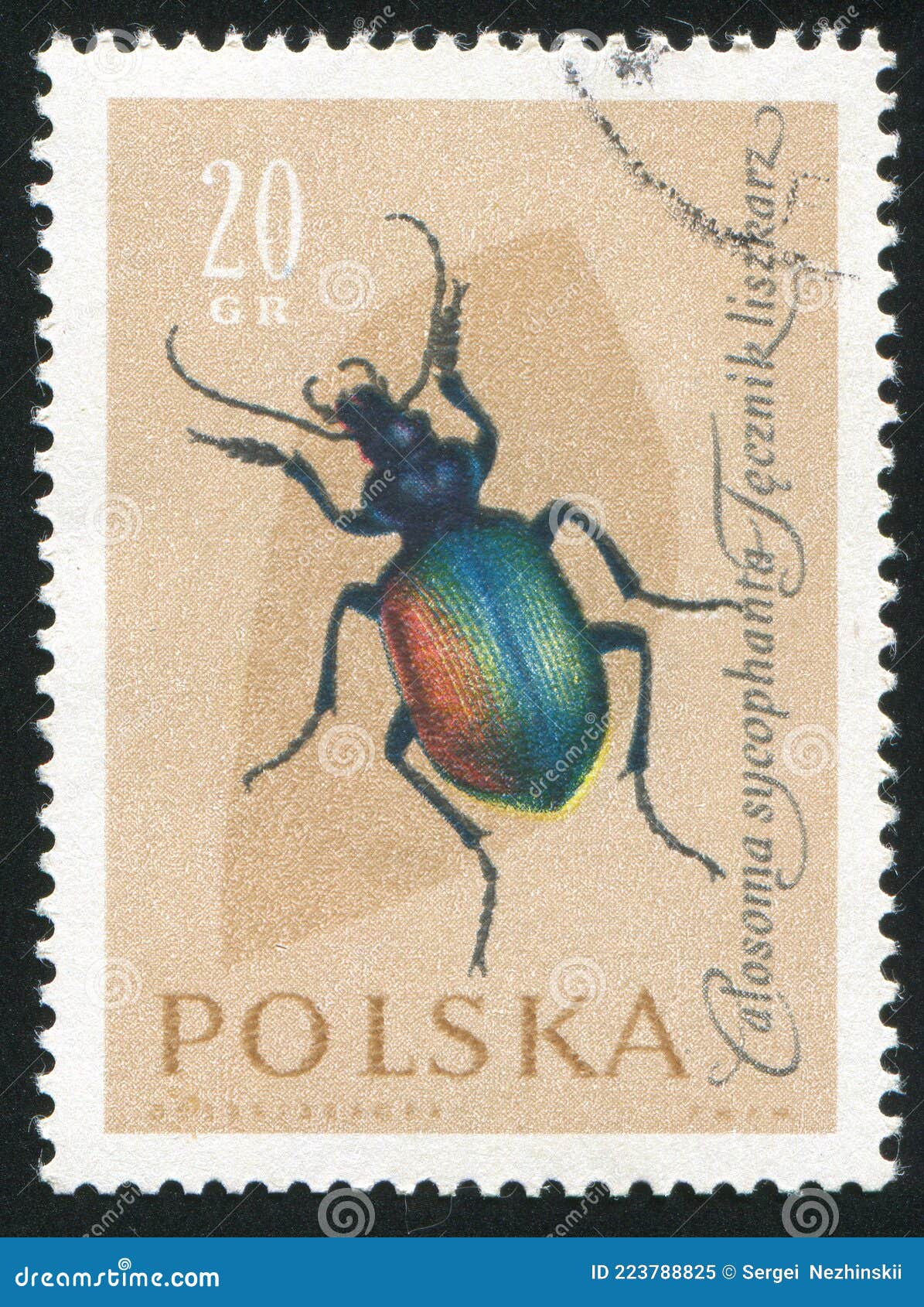 Poststamp insect editorial image. Illustration of beetle - 223788825