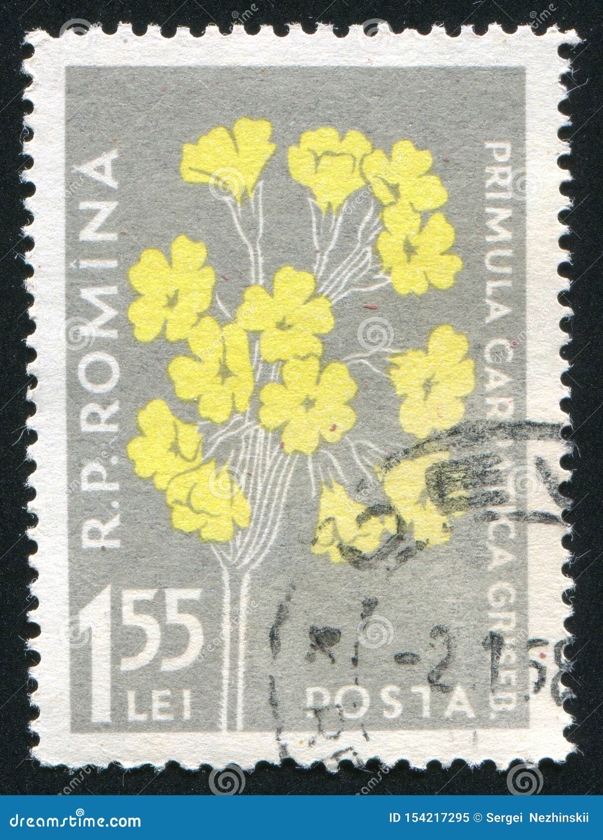 Poststamp Primula editorial image. Image of 1957, envelope - 154217295