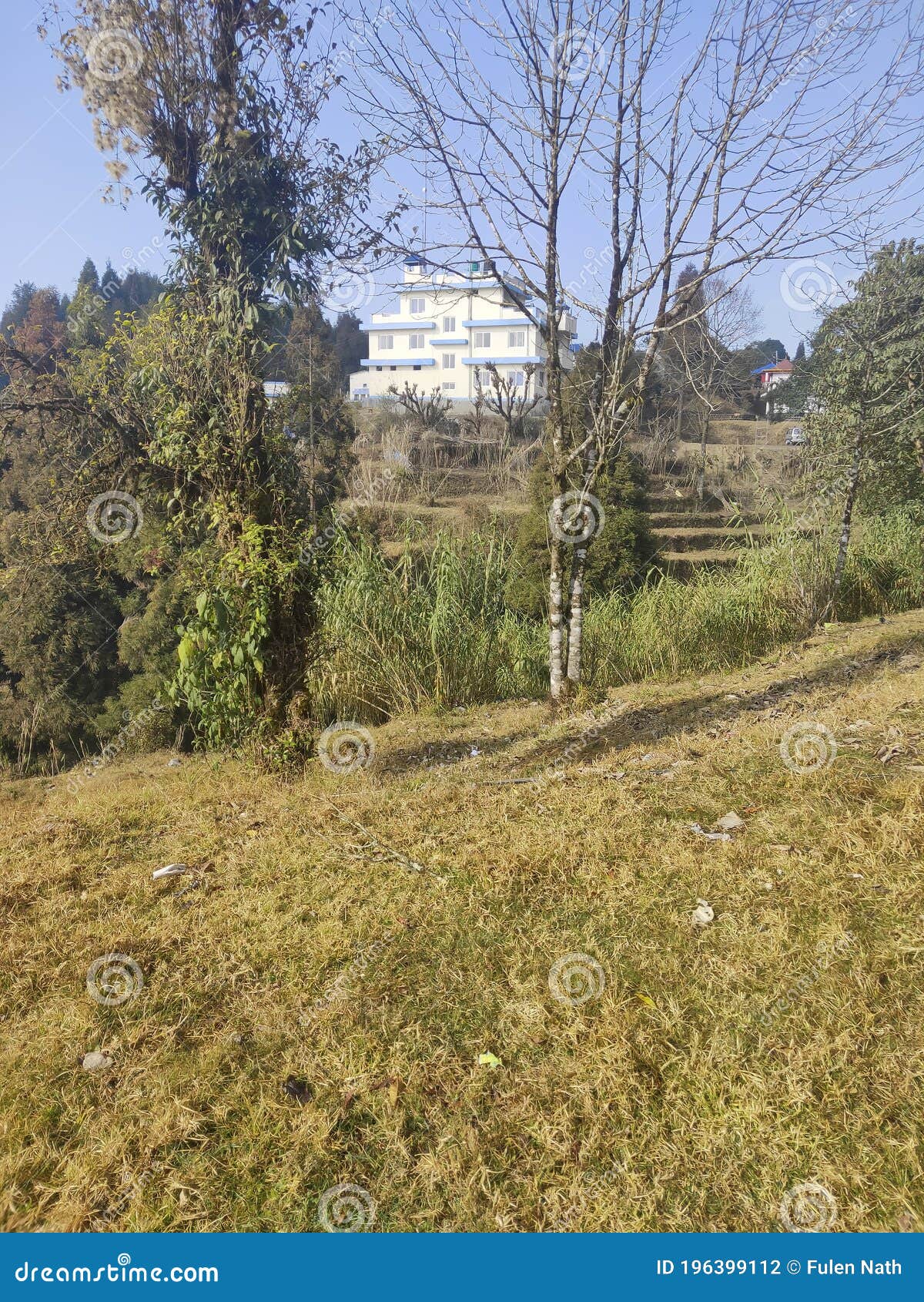 District Ilam Nepal Stock Photos - Free & Royalty-Free Stock Photos ...