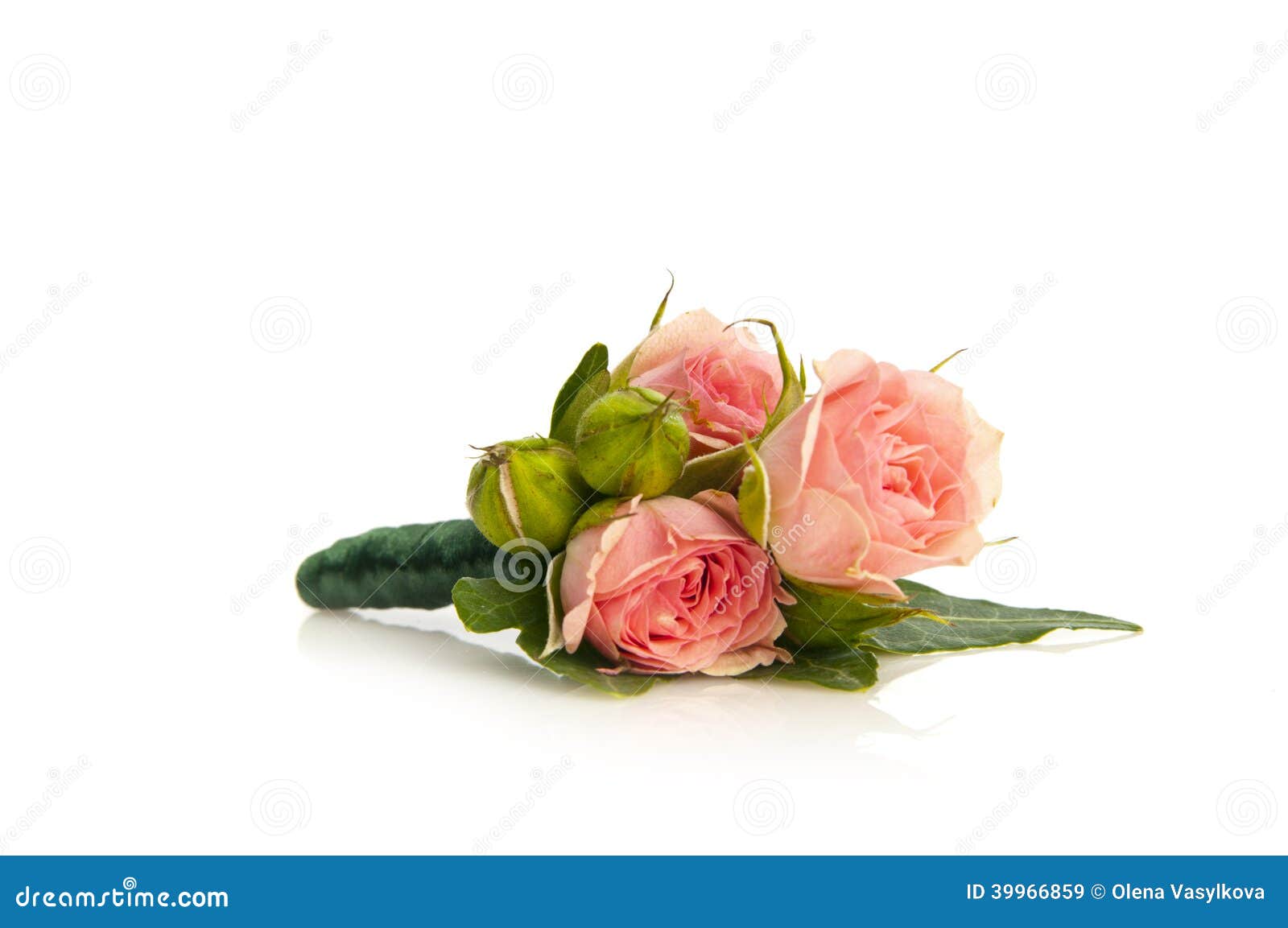 Posy bouquet stock image. Image of plant, celebration - 39966859