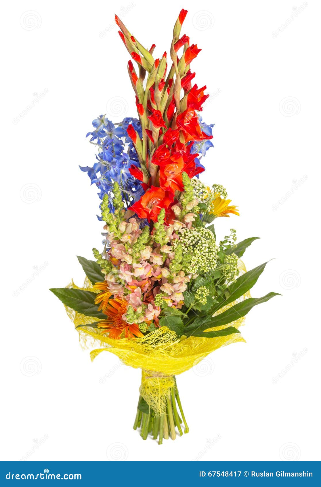 Posy of Red Flowers on White Background Stock Image - Image of gift ...