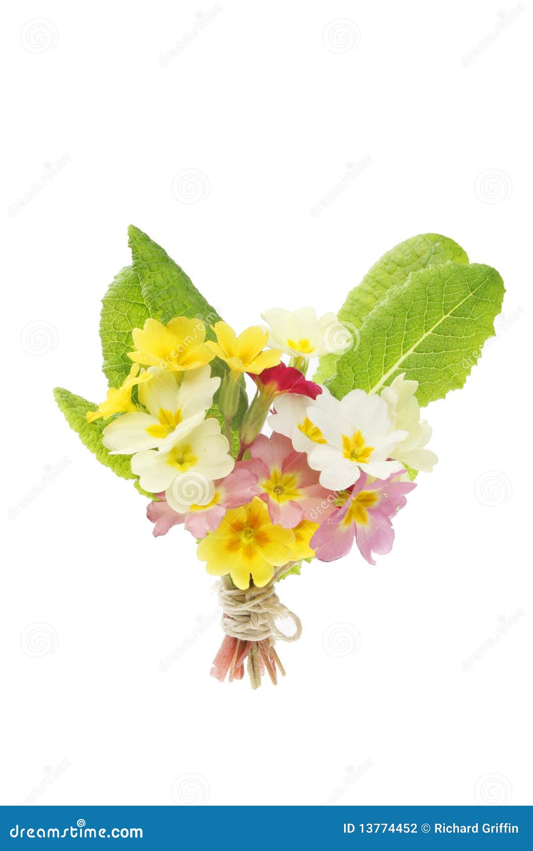 Posy of Spring flowers stock photo. Image of isolated - 13774452