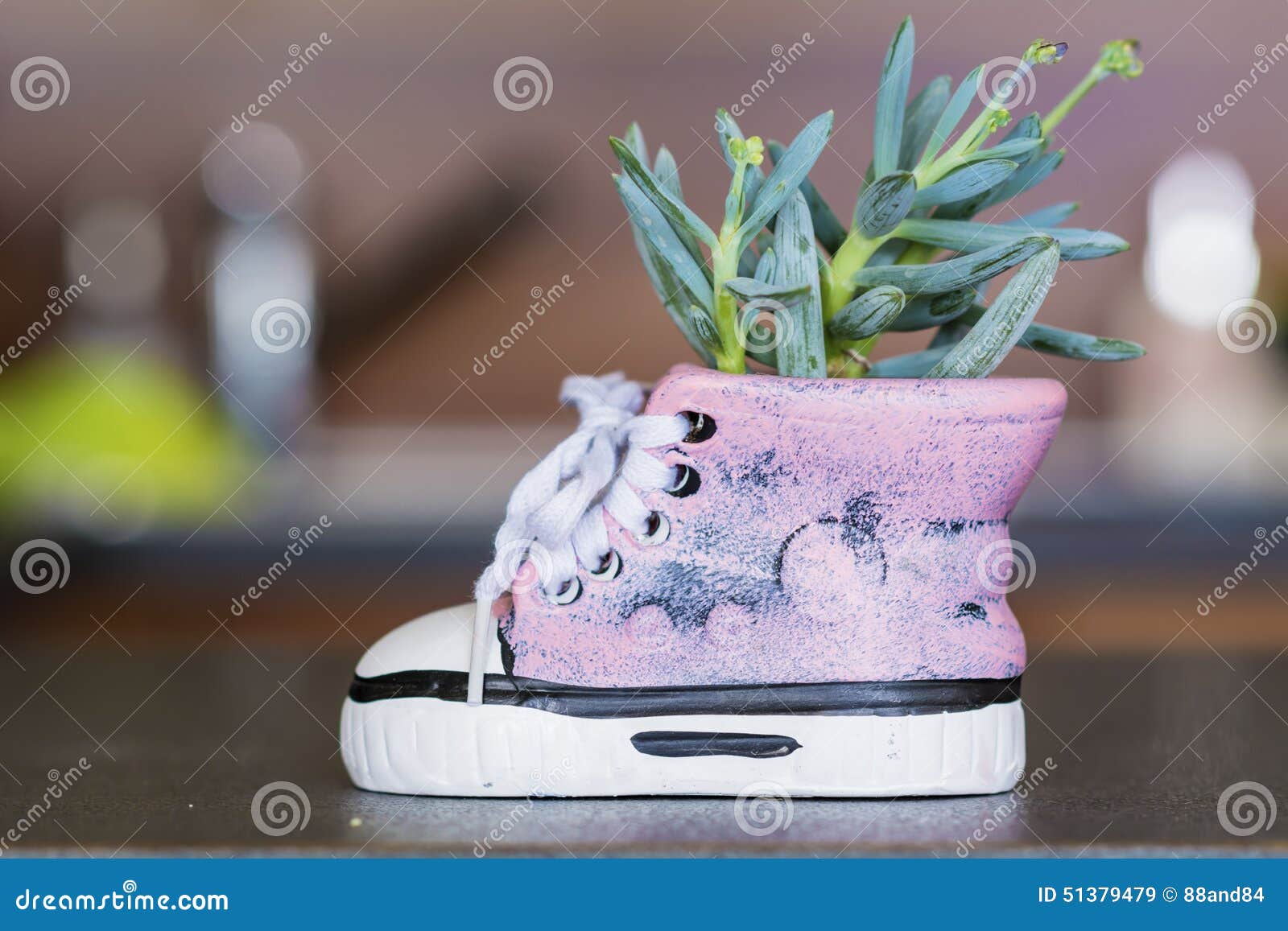 Pot De Chaussure Avec La Fleur Verte De Cactus Image stock - Image du ...