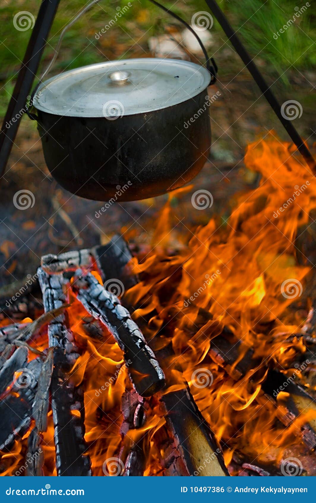 Pot on the fire stock photo. Image of cooking, cook, campout - 10497386