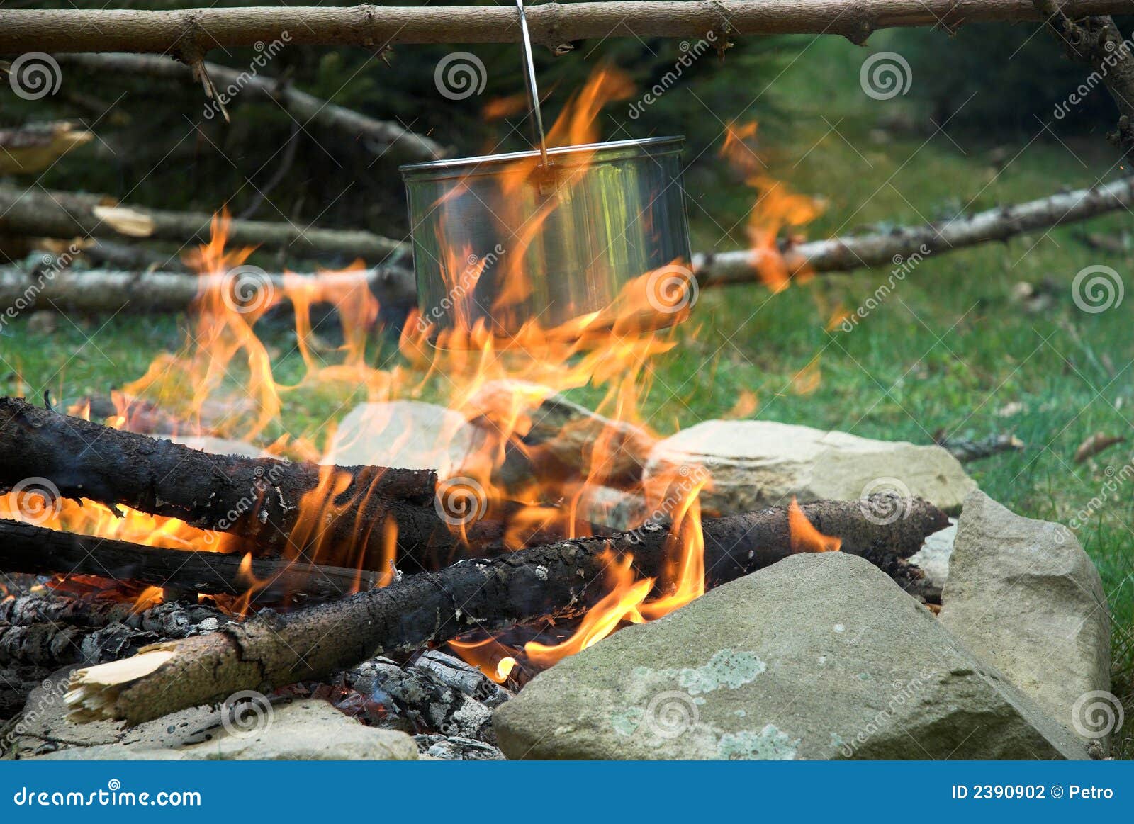 Pot on fire stock photo. Image of forest, grass, sticks - 2390902
