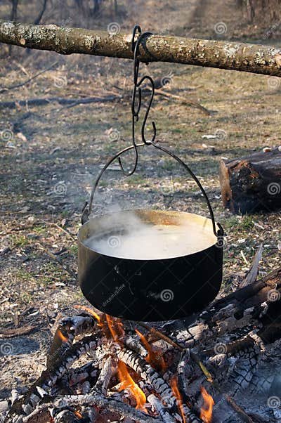 Pot on the fire stock image. Image of burn, forest, barbeque - 2416933