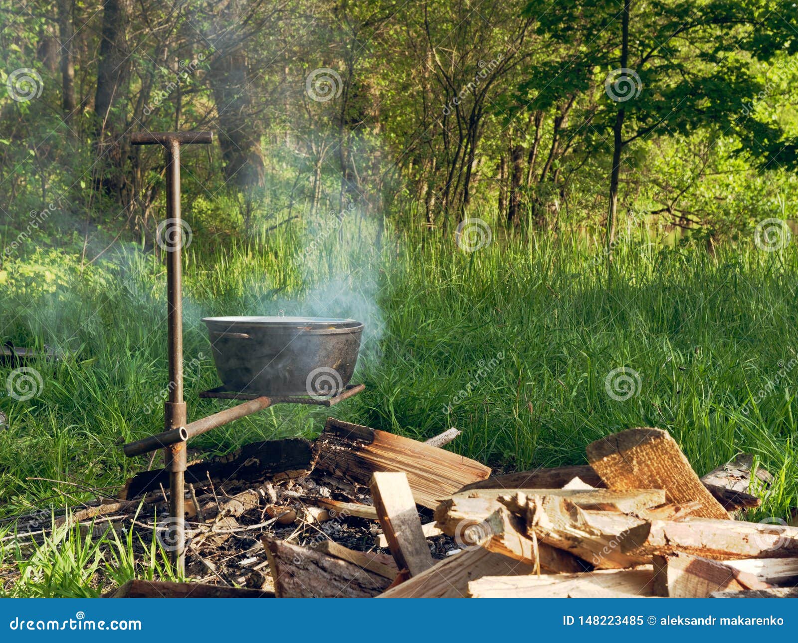 Pot on the Fire on a Green Background Stock Image - Image of firewood ...