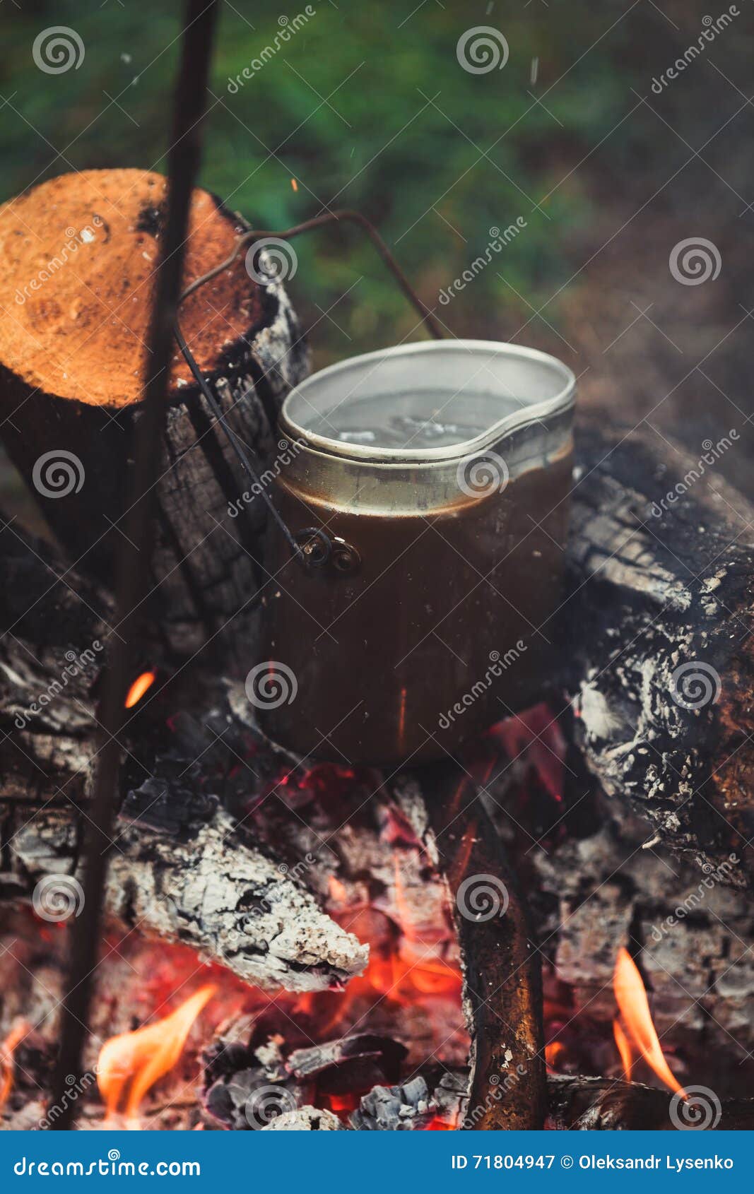 Pot on the fire stock image. Image of iron, picnic, flame - 71804947