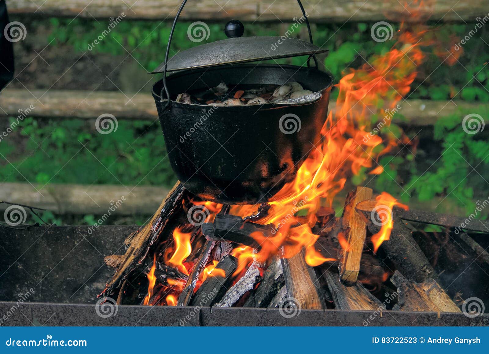 The Pot on the Fire with Mushrooms in the Forest Stock Image - Image of ...