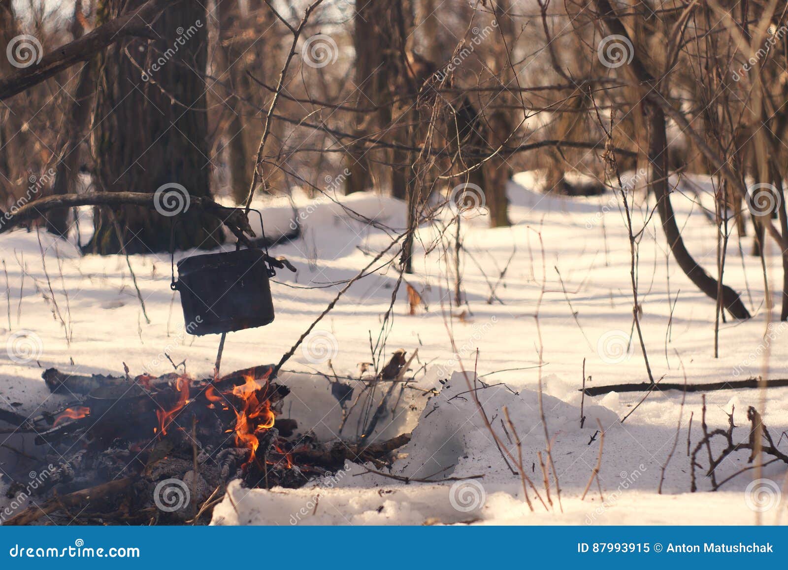 A Pot in the Fire, Water is Heated in the Winter Forest Stock Image ...