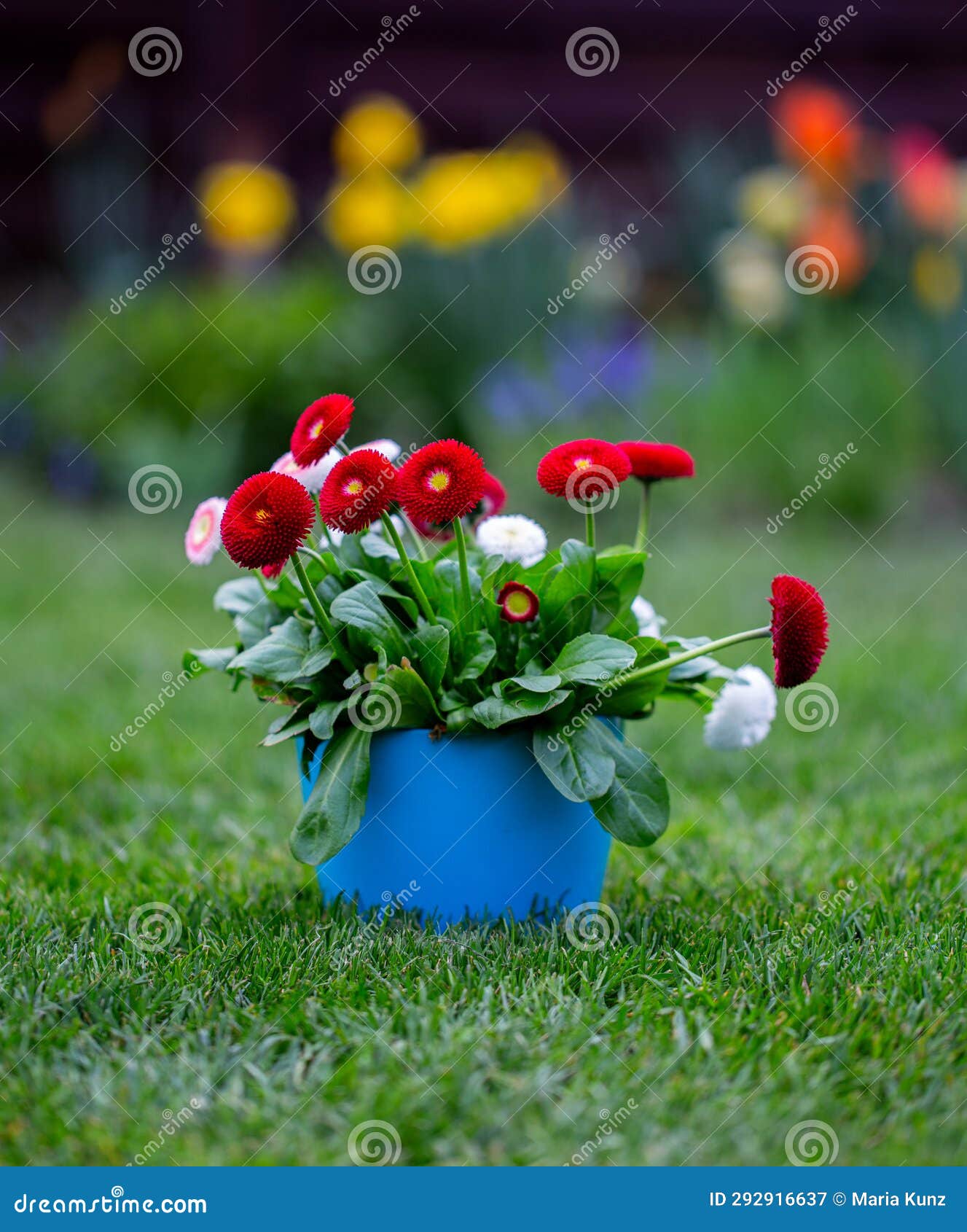 A Pot of Flowers in the Garden is on the Right Stock Image - Image of ...