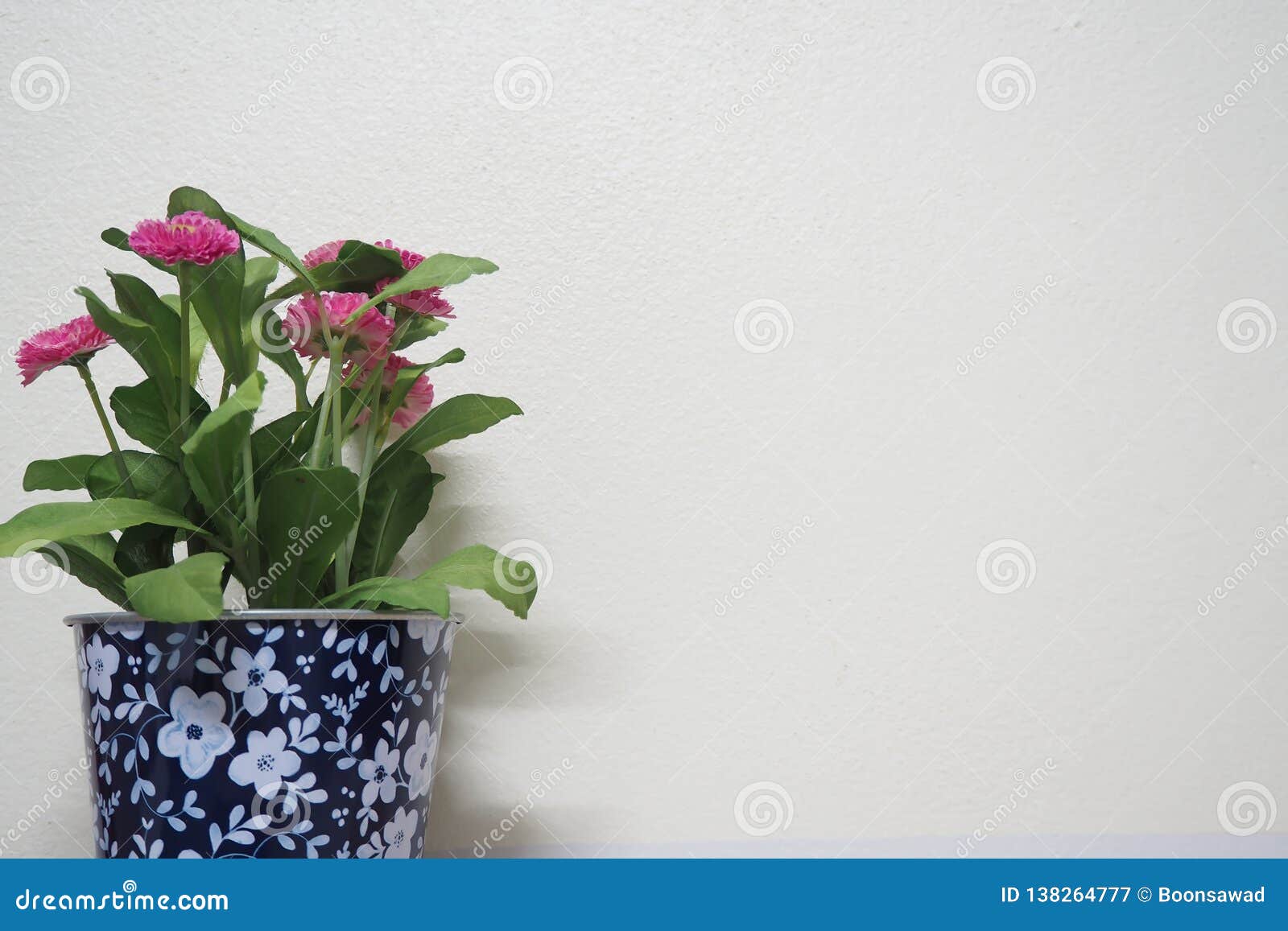 Pot with Flowers White Wall Background Stock Image - Image of ...