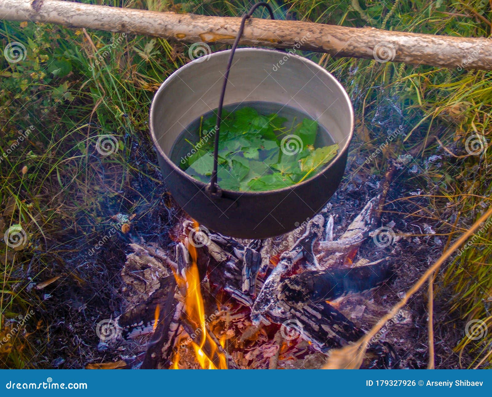 Pot of herbs on the fire stock photo. Image of drink - 179327926