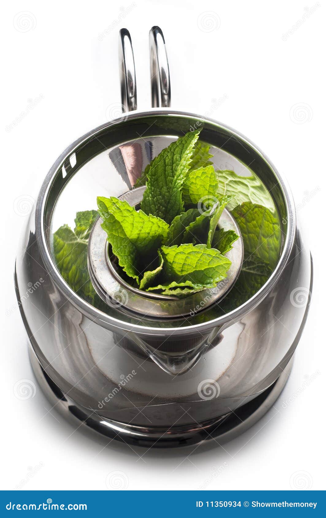 A pot of mint tea stock photo. Image of copy, infusion - 11350934