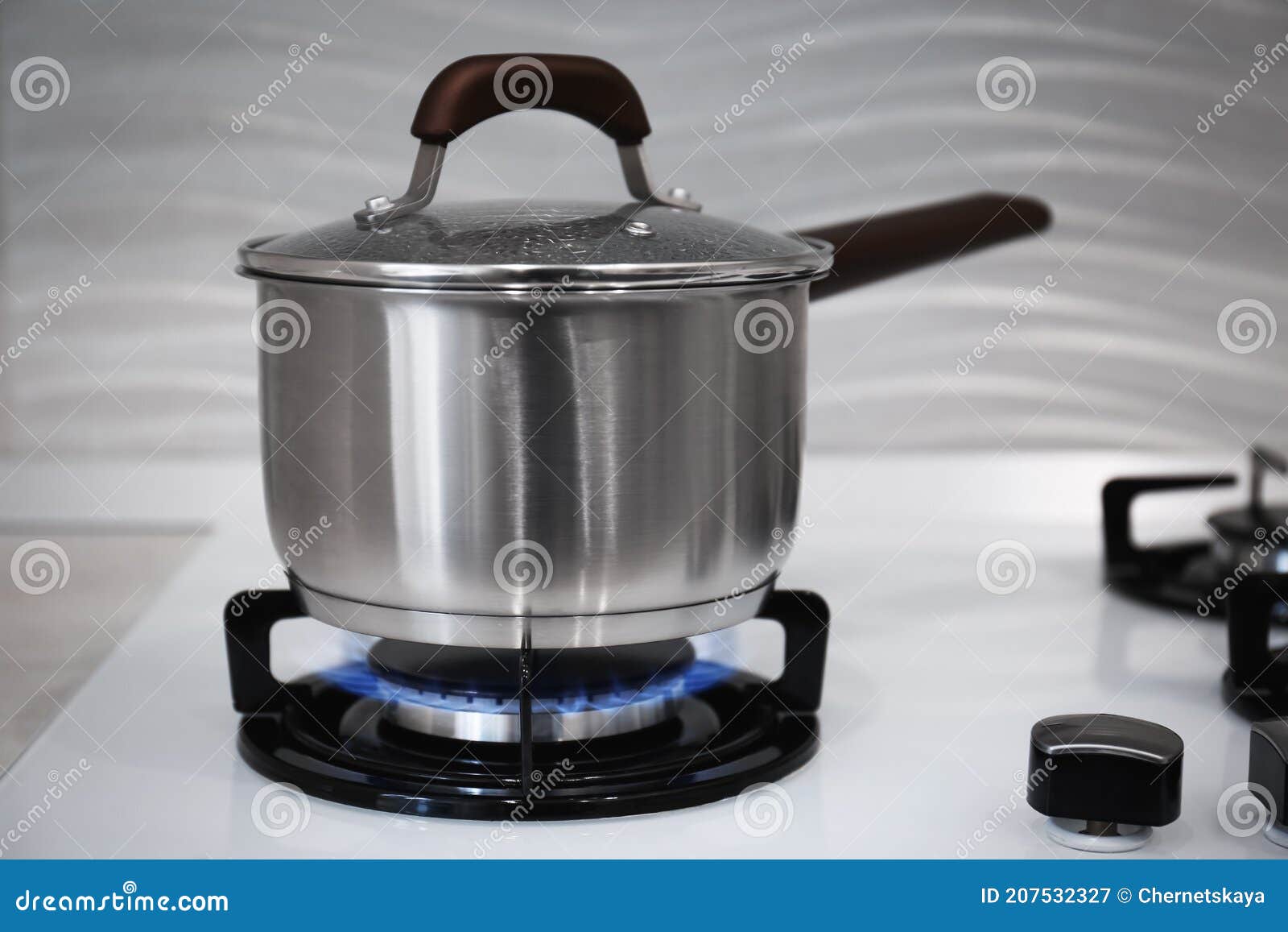 Pot on Modern Kitchen Stove with Burning Gas Stock Image - Image of ...