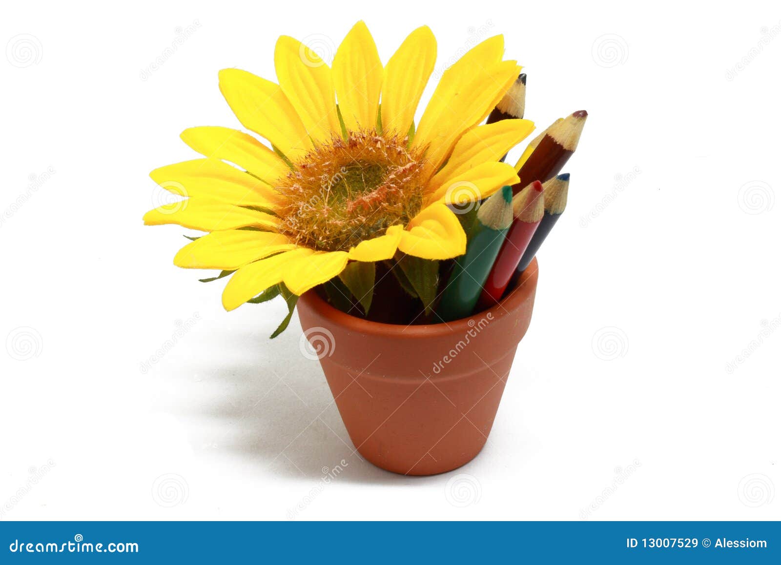 Pot,pencils and flower stock image. Image of beautiful - 13007529