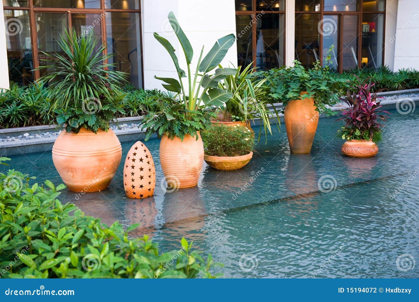 Pot with plants stock photo. Image of multicolored, flora - 15194072
