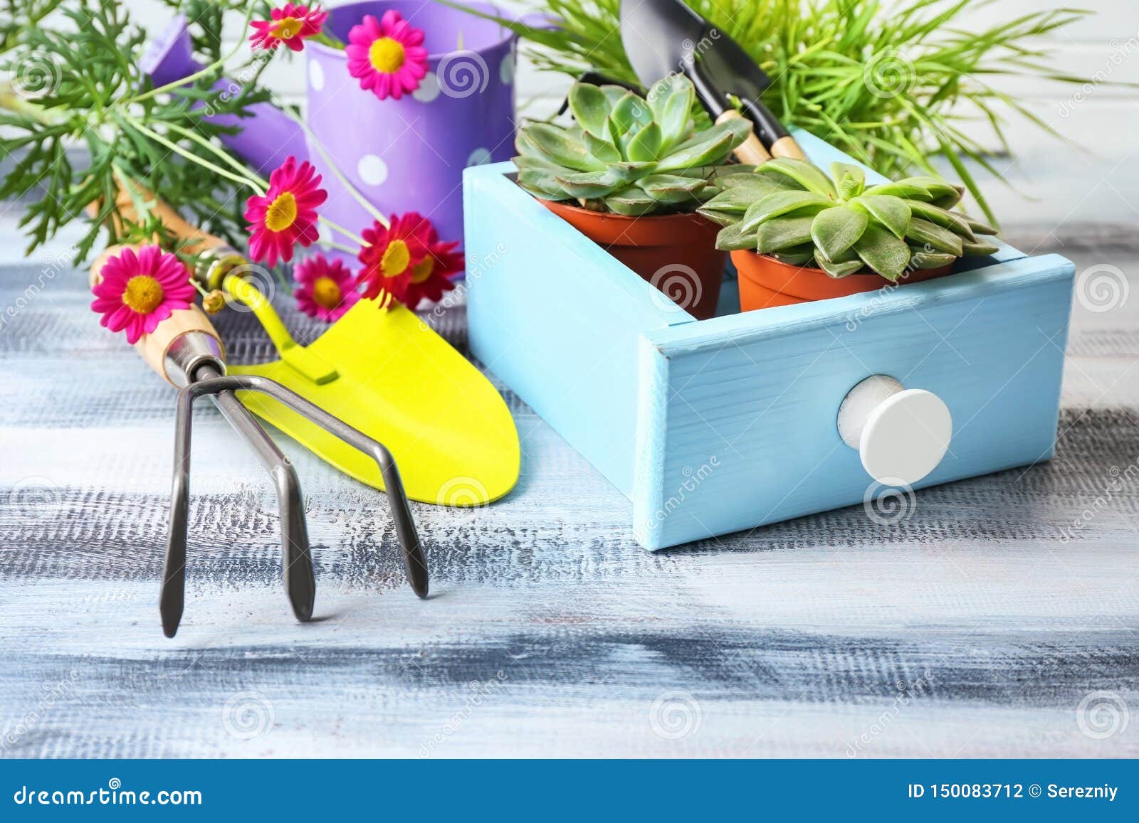 Pot Plants and Gardening Tools on Wooden Background Stock Photo - Image ...