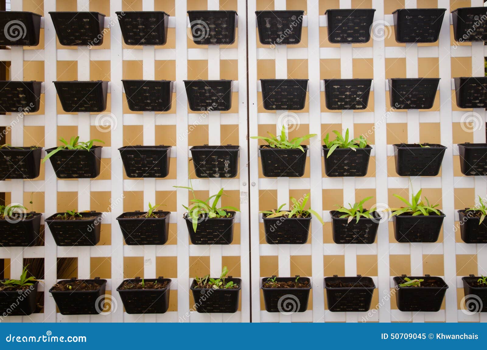 Pot plants wall stock image. Image of nature, garden - 50709045