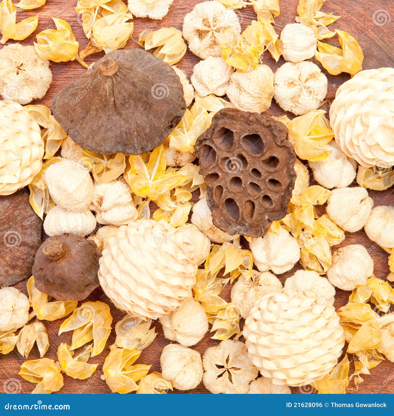 Pot pourri stock photo. Image of natural, confetti, vanilla - 21628096