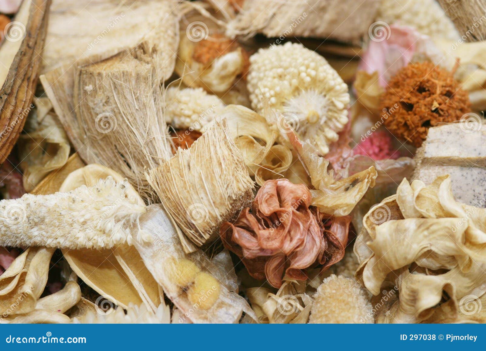 Pot Pourri stock photo. Image of pourri, aroma, hotchpotch - 297038