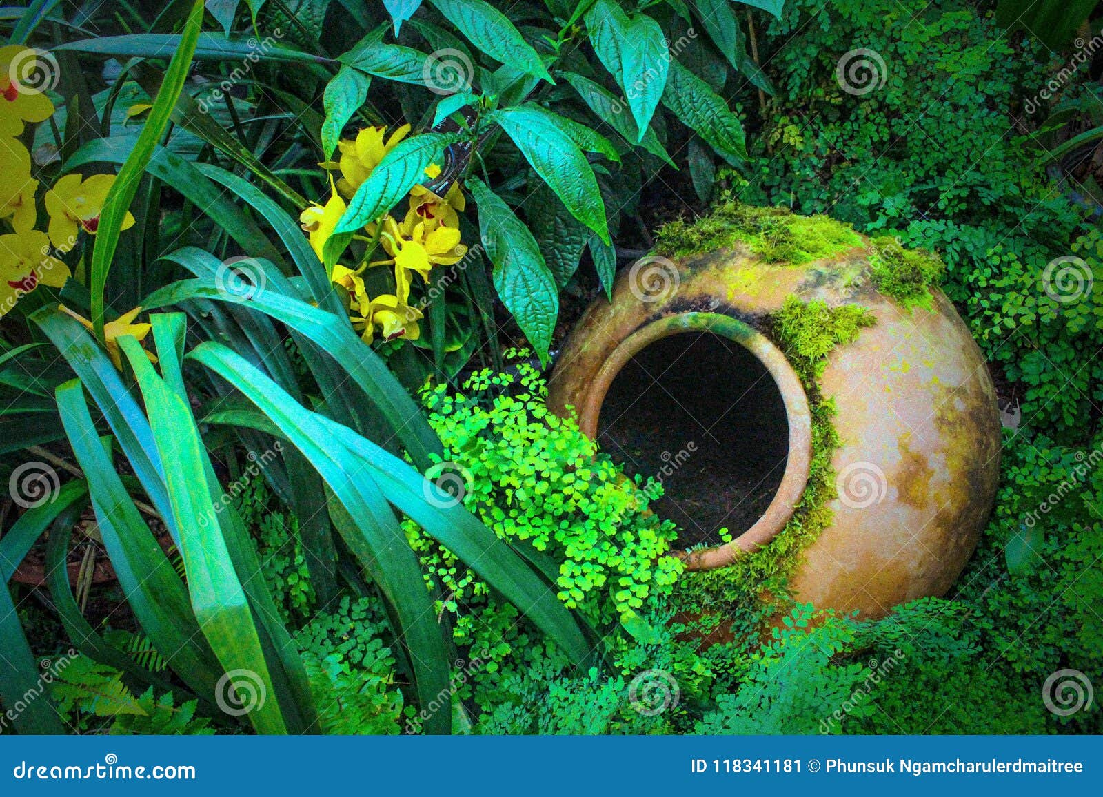Pot Soil in the Green Forest. Stock Image - Image of organizers ...