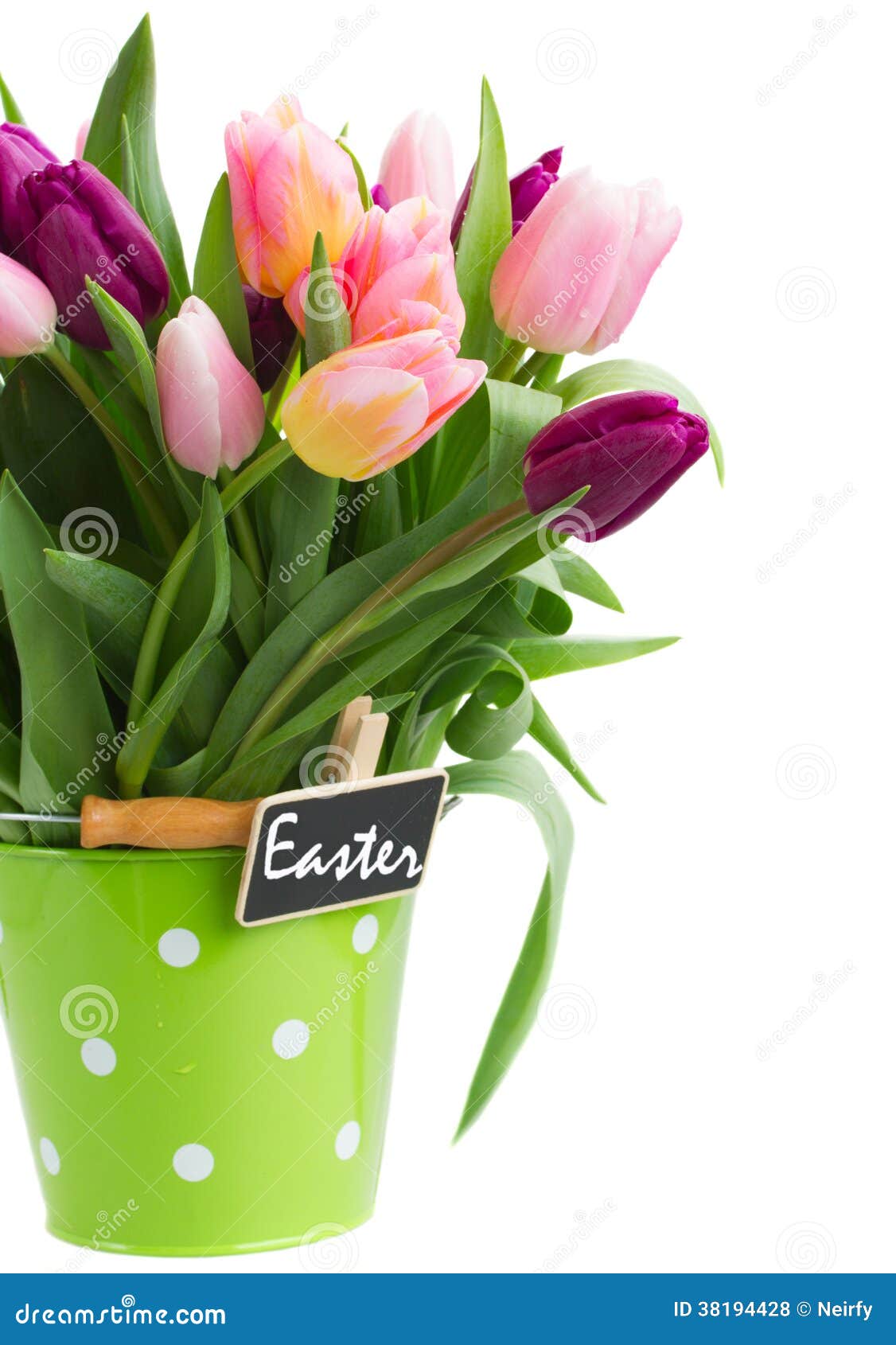 Pot of spring tulips stock photo. Image of natural, background - 38194428