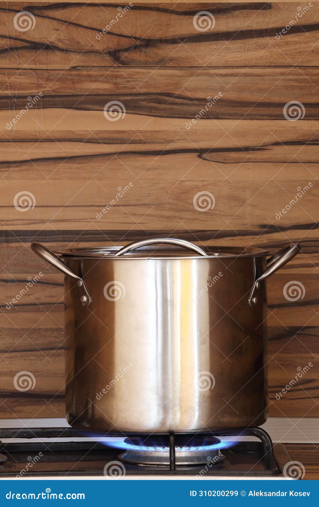Pot on a stove stock image. Image of fire, domestic - 310200299