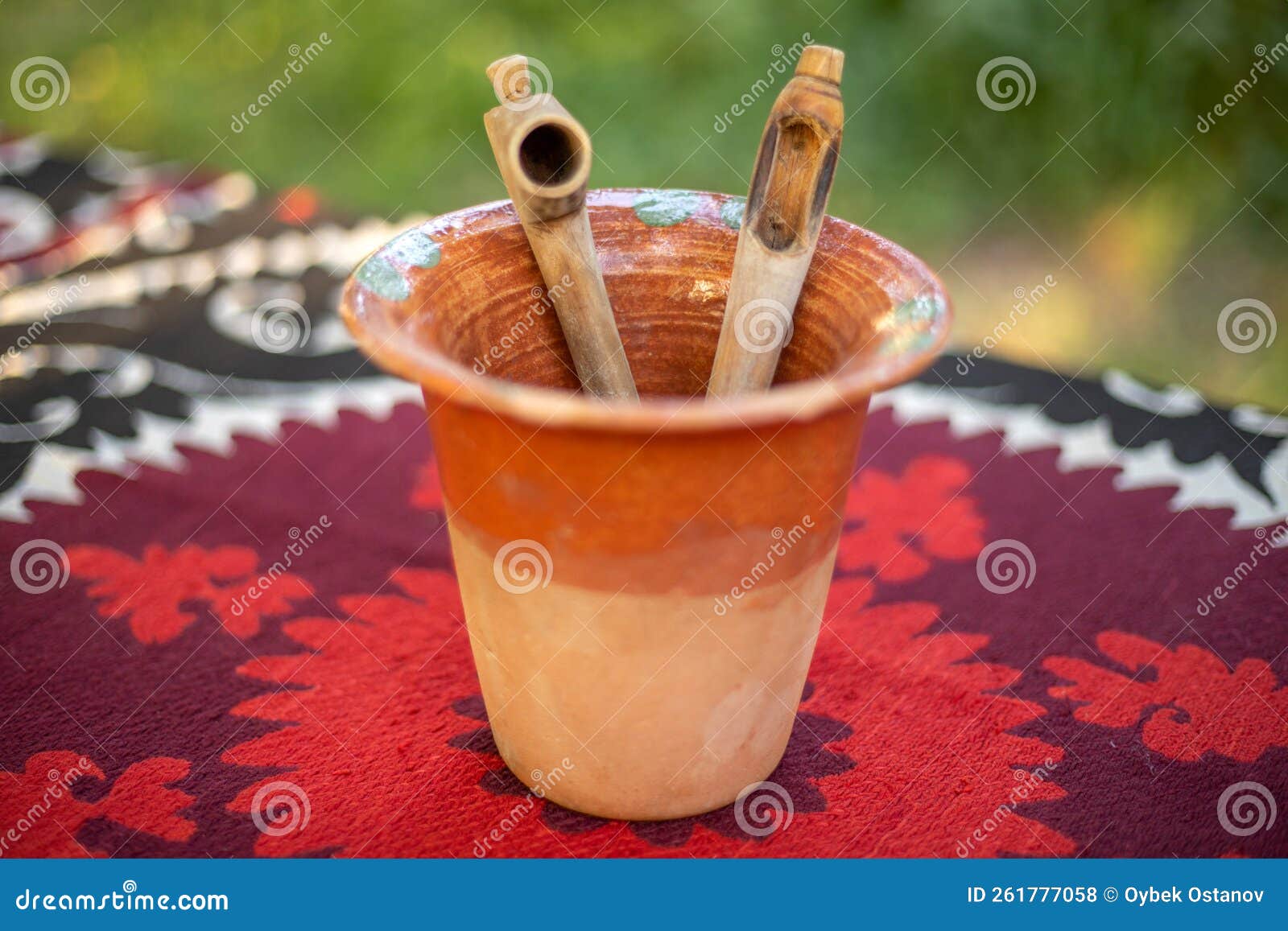 The pot and sumaks stock photo. Image of seed, rhus - 261777058