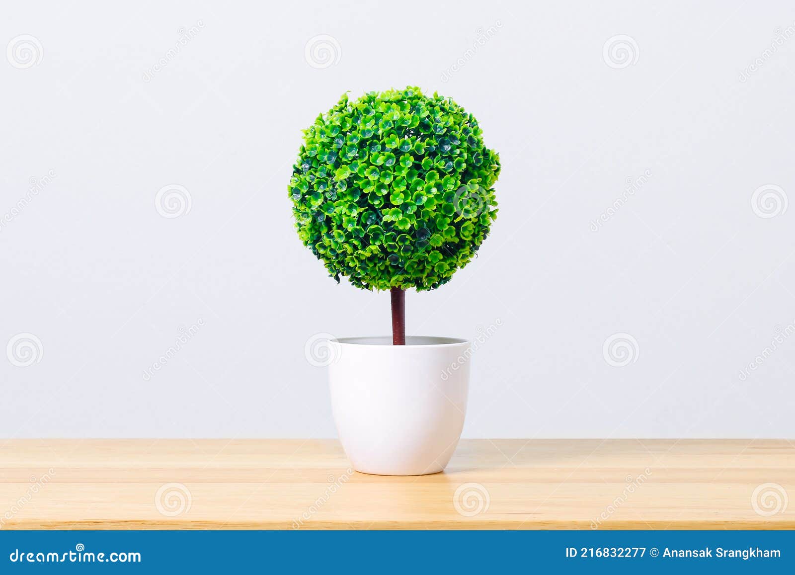 Pot Tree on Table that Decorate the Room. Pot Plant Isolated on White ...