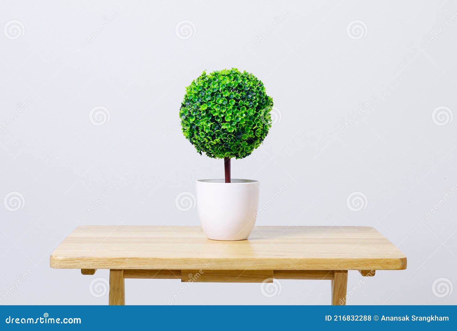 Pot Tree on Table that Decorate the Room. Pot Plant Isolated on White ...