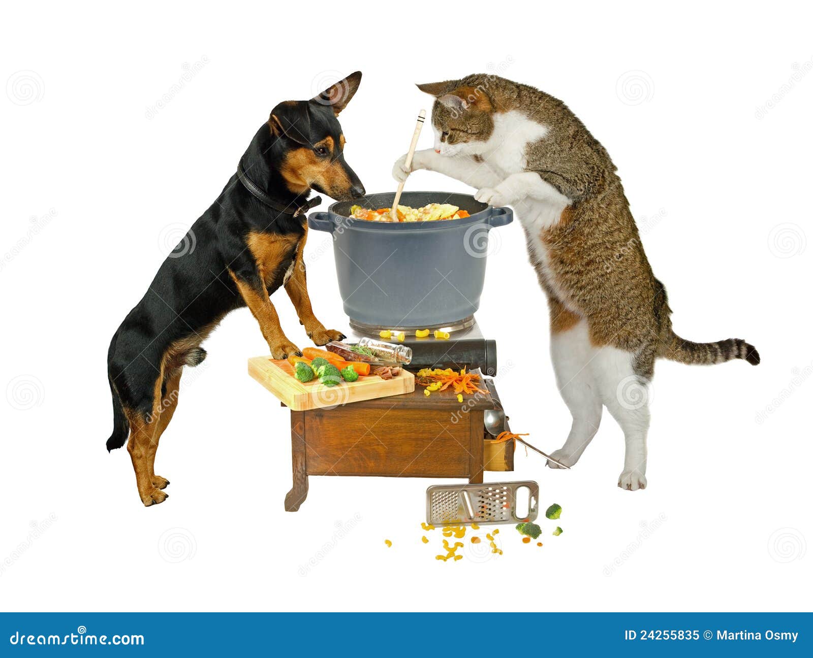 Pot Watcher stock image. Image of nutrion, menu, snack - 24255835