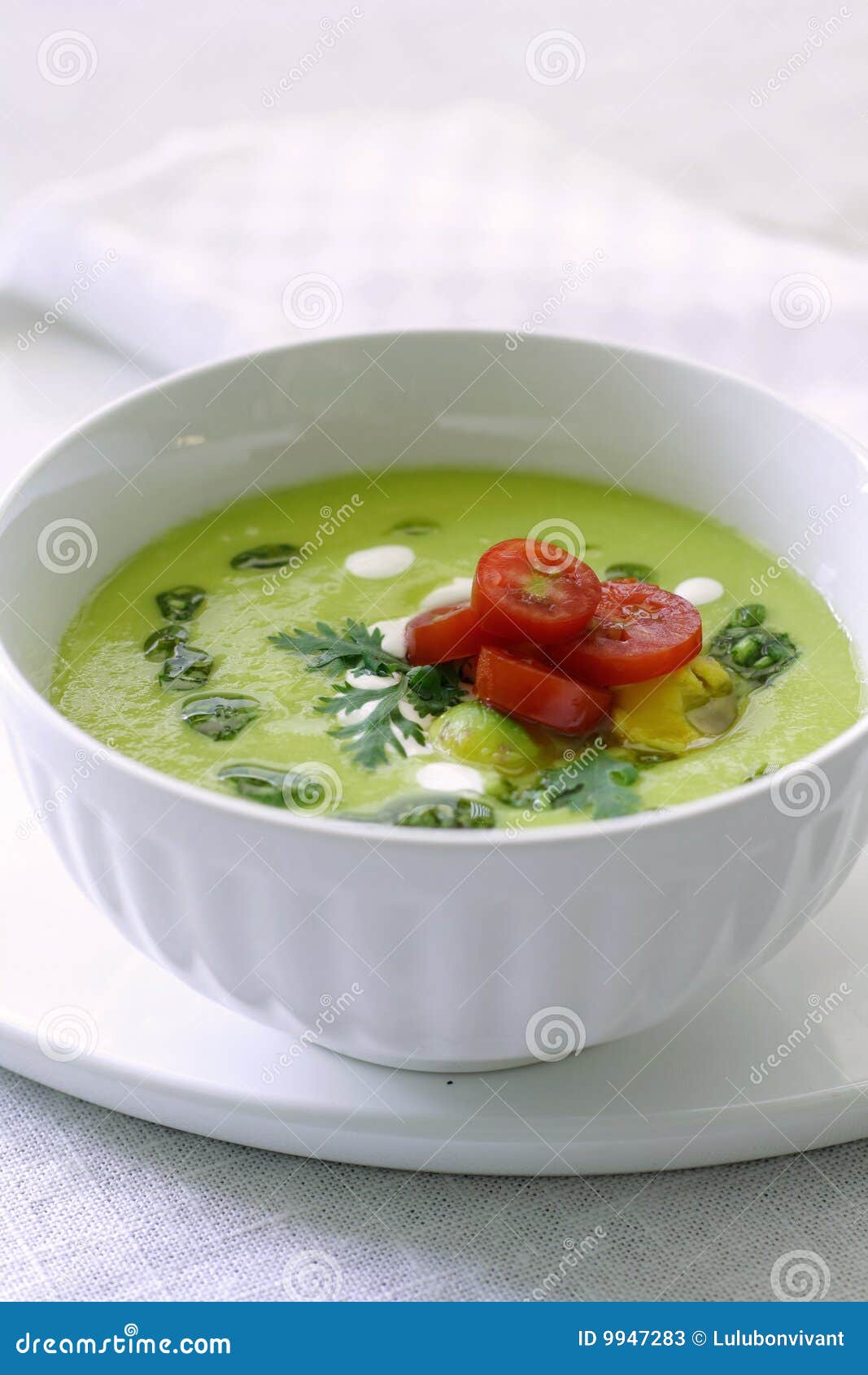 Potage de froid d'avocat image stock. Image du mexicain - 9947283