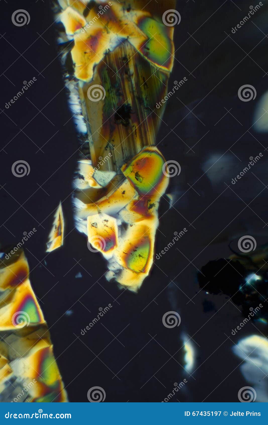 Potassium Ferrichlorid Under the Microscope Stock Image - Image of ...