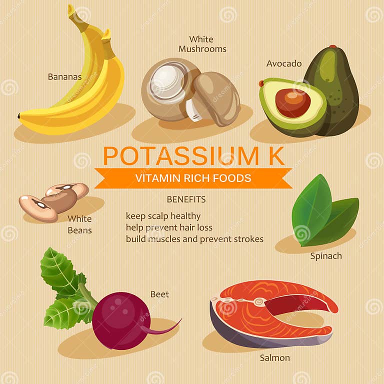 Potassium Foods Vitamins And Minerals Foods Illustrator Vector Set Of