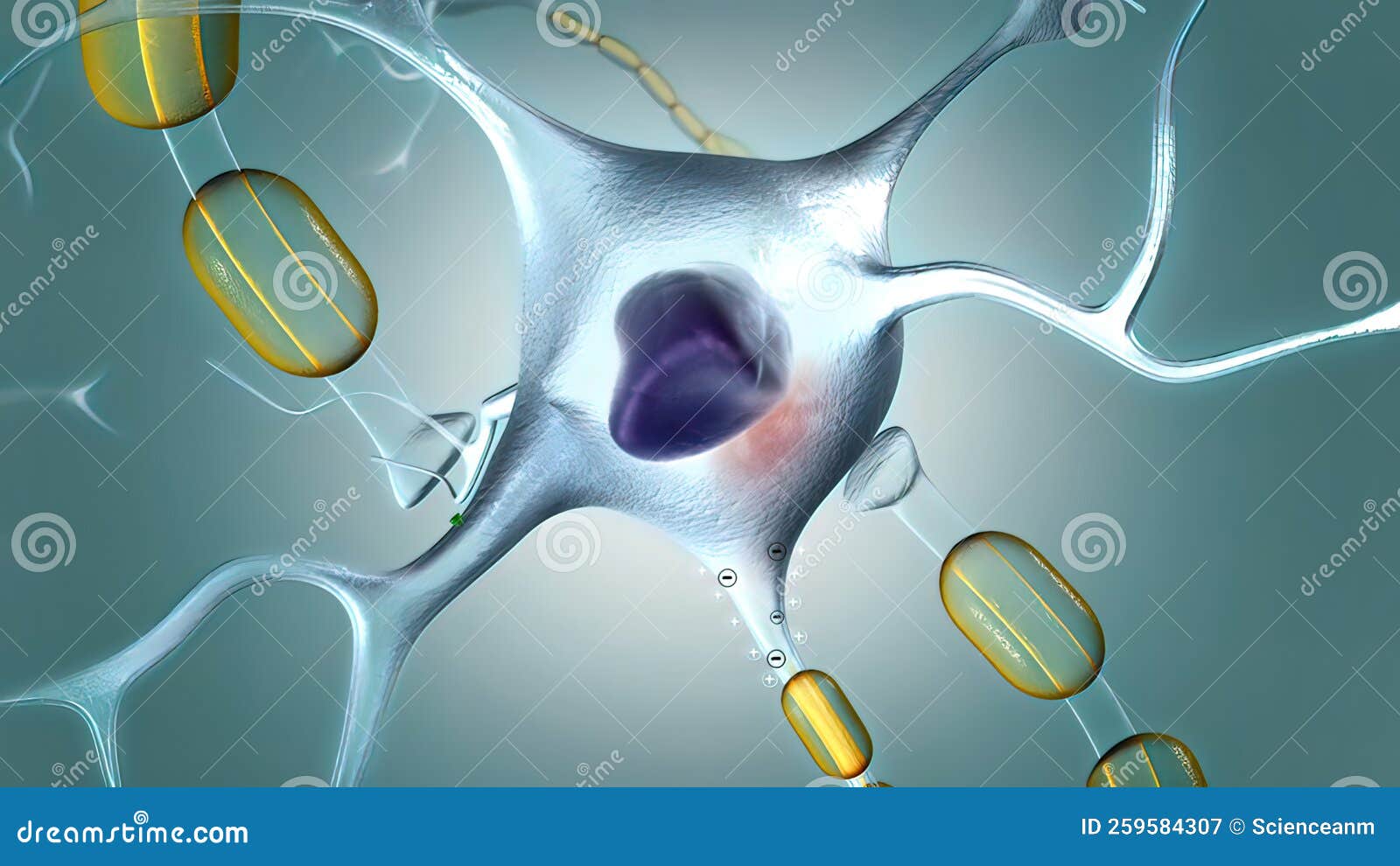 Potassium Ions in the Neuron System Stock Illustration - Illustration ...