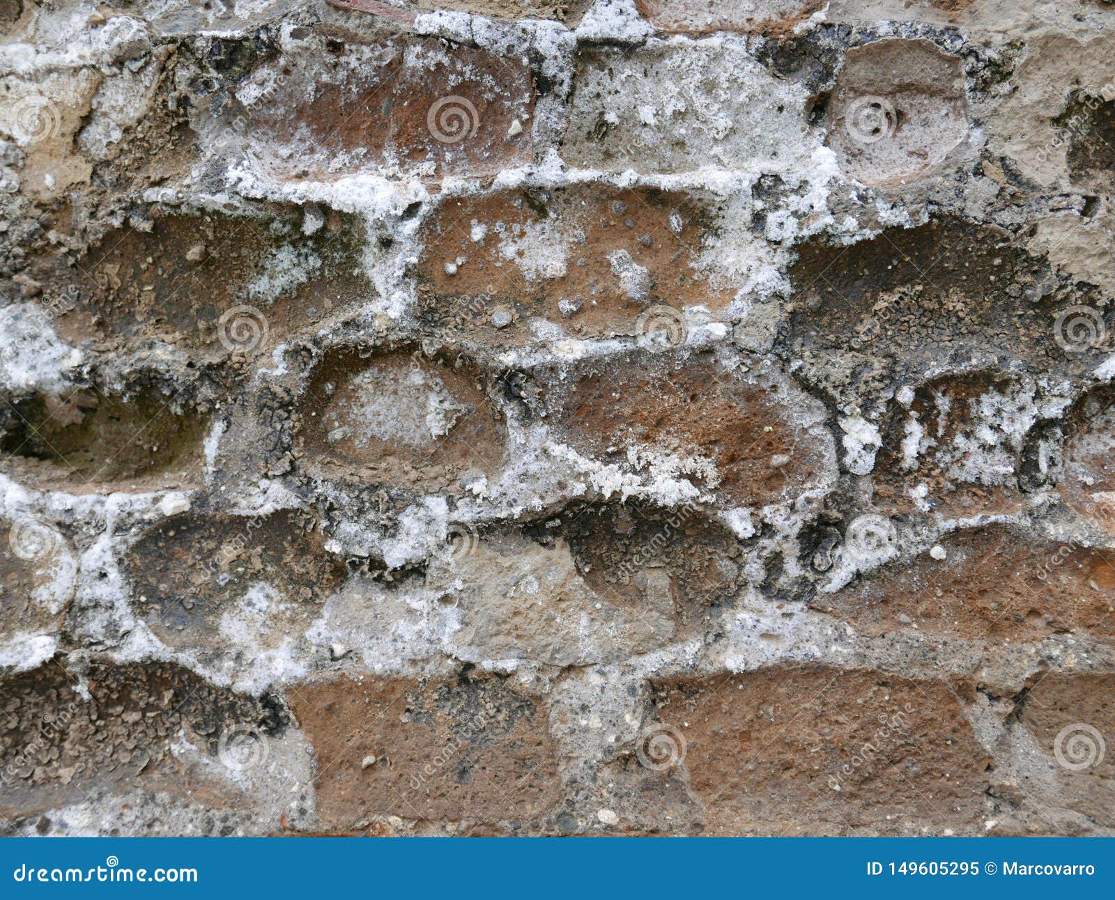 Potassium Nitrate on Ancient Wall Stock Image - Image of moldy, fungal ...