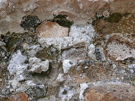 Potassium Nitrate on Ancient Wall Stock Photo - Image of grunge, mould ...