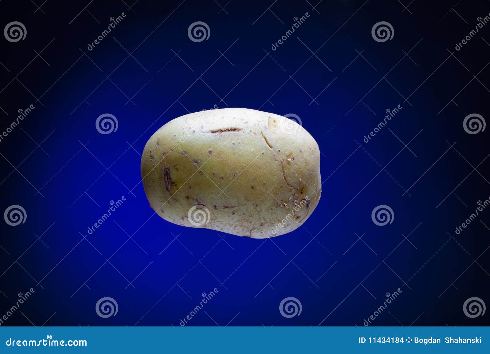 Potato stock photo. Image of spice, nature, bright, clean - 11434184