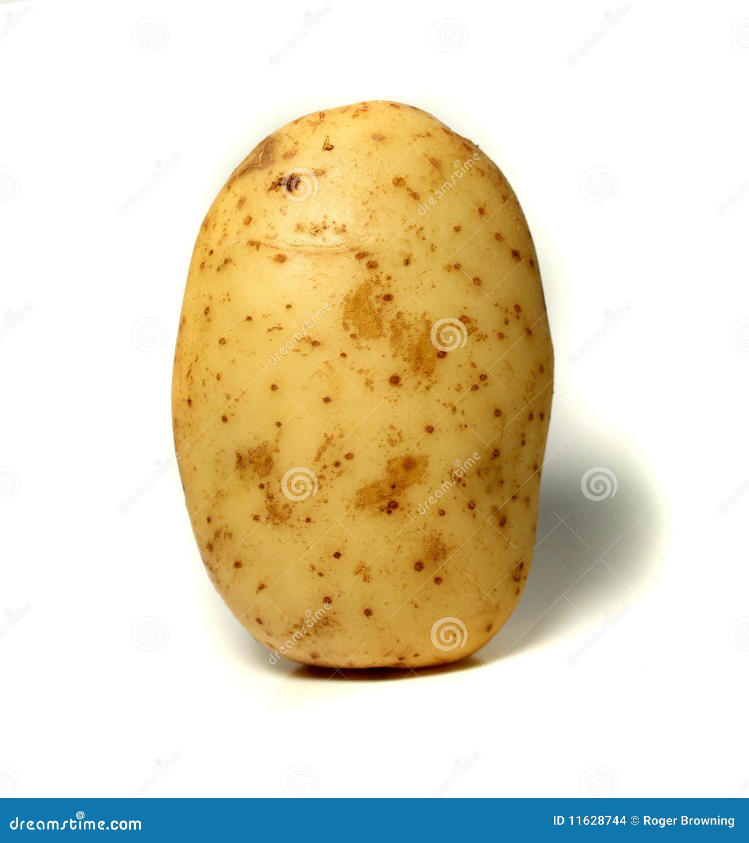 Potato stock photo. Image of cooking, white, potato, background - 11628744