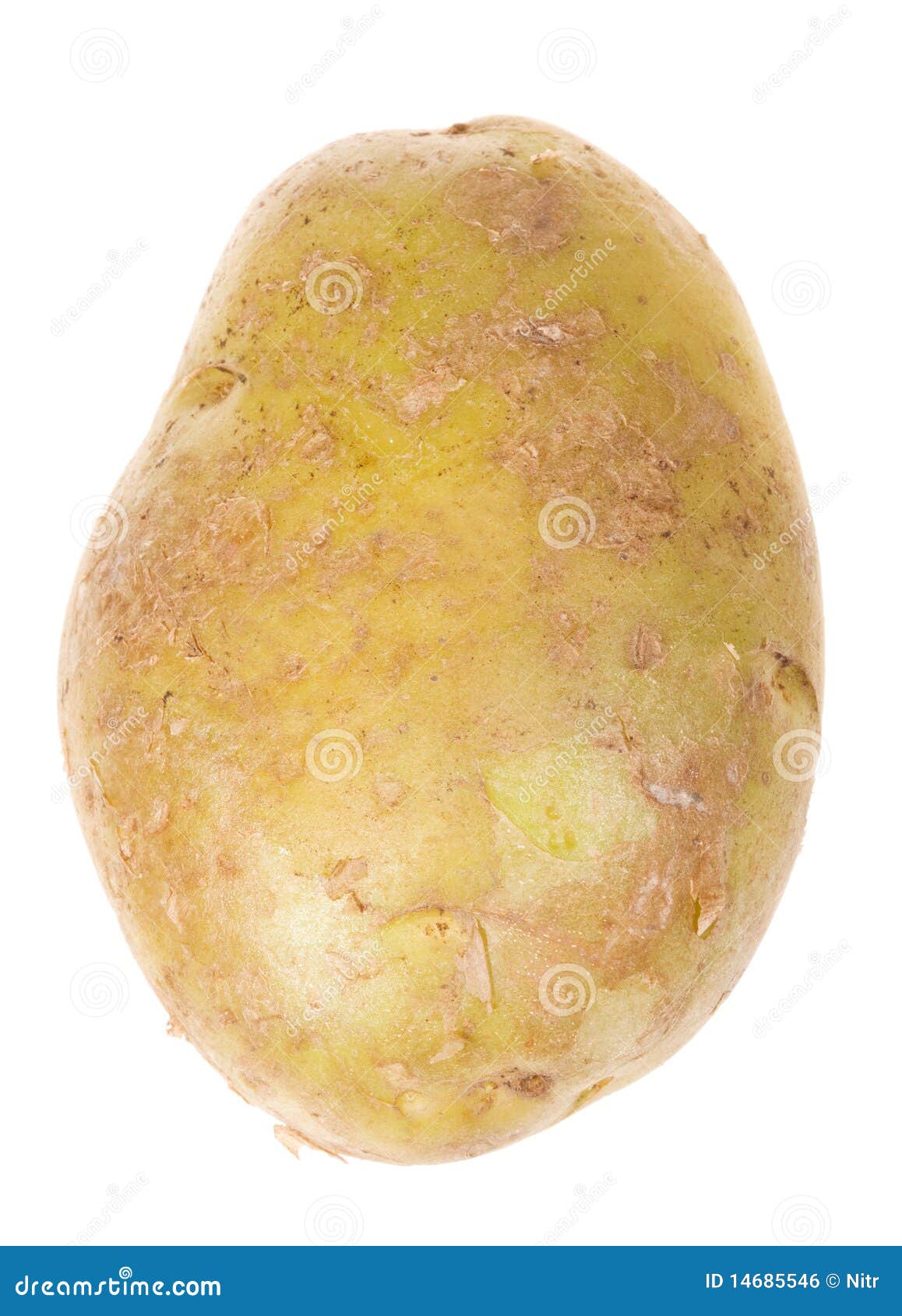 Potato stock photo. Image of yellow, object, healthy - 14685546