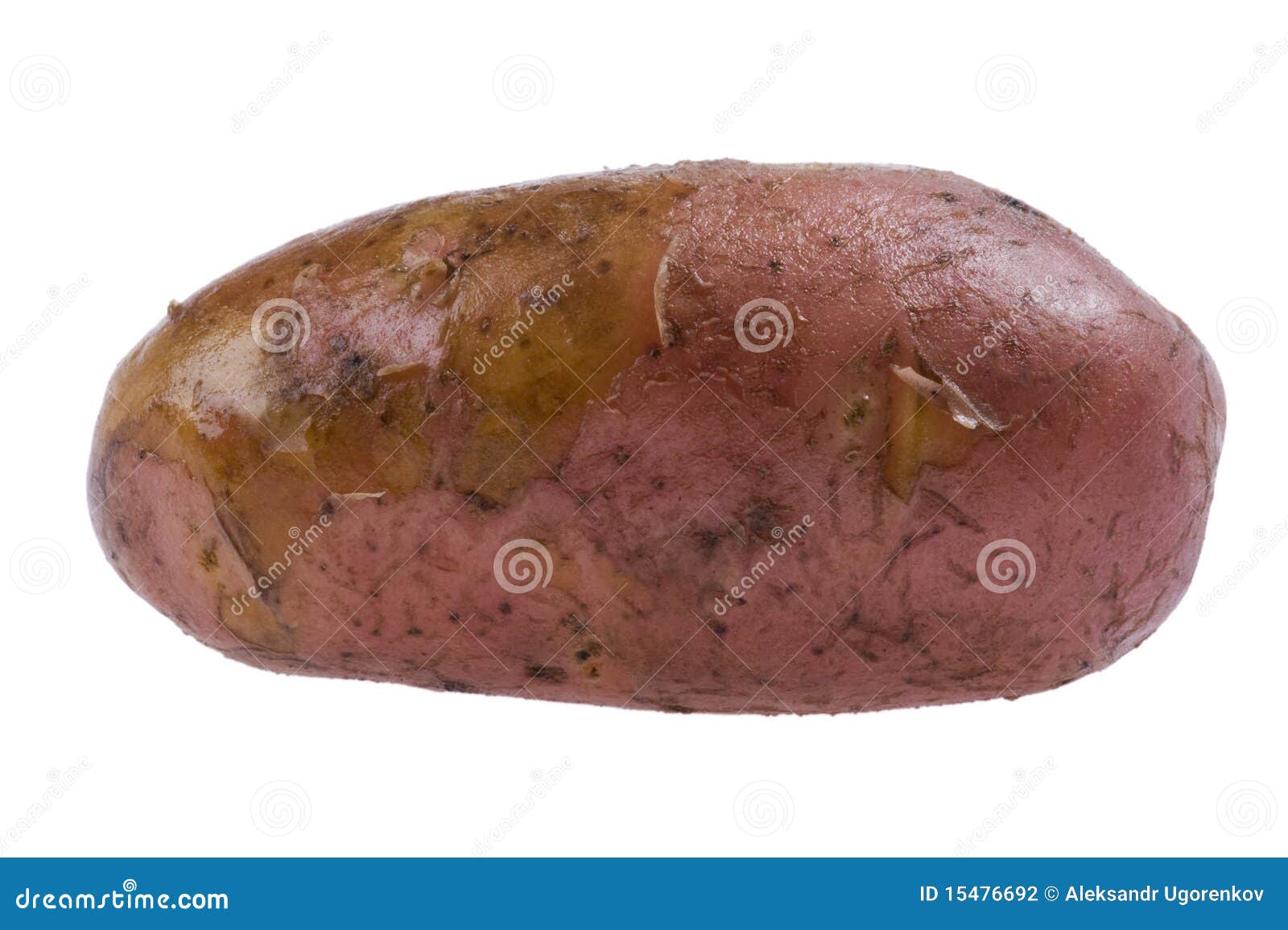 Potato stock photo. Image of potato, health, vegetable - 15476692