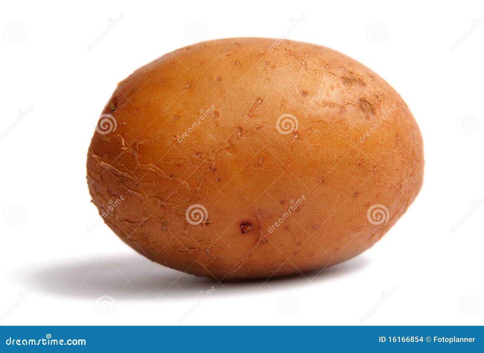 Potato. stock photo. Image of farmed, vegetable, objects - 16166854