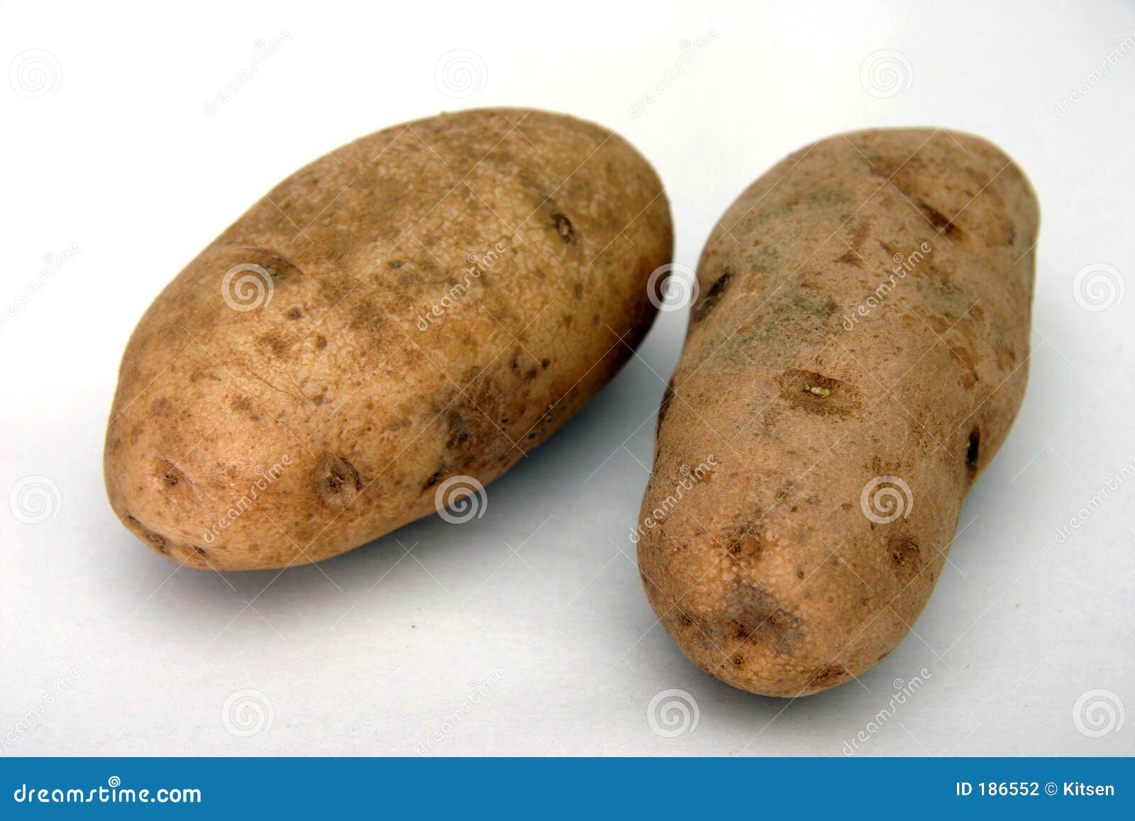 Potato stock photo. Image of ground, potato, staple, roots - 186552