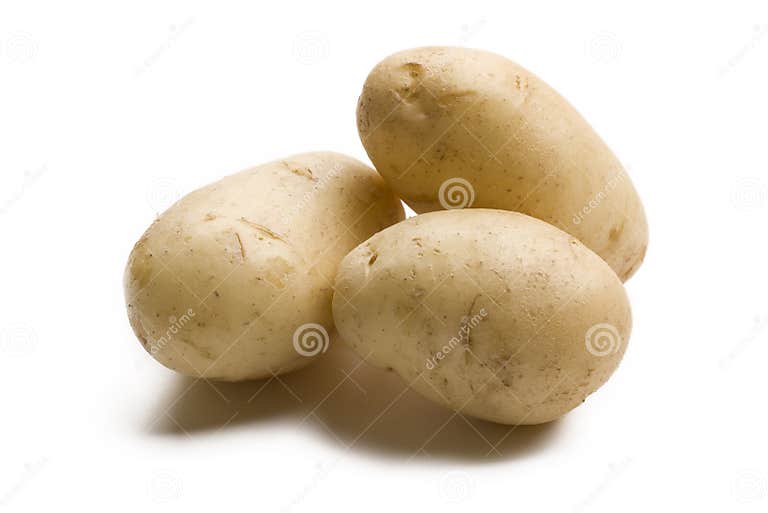 Potato stock image. Image of ingredient, nutrition, plant - 19571083