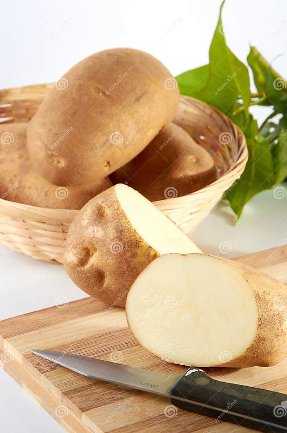 Potato stock photo. Image of organic, farming, diet, harvest - 21781440