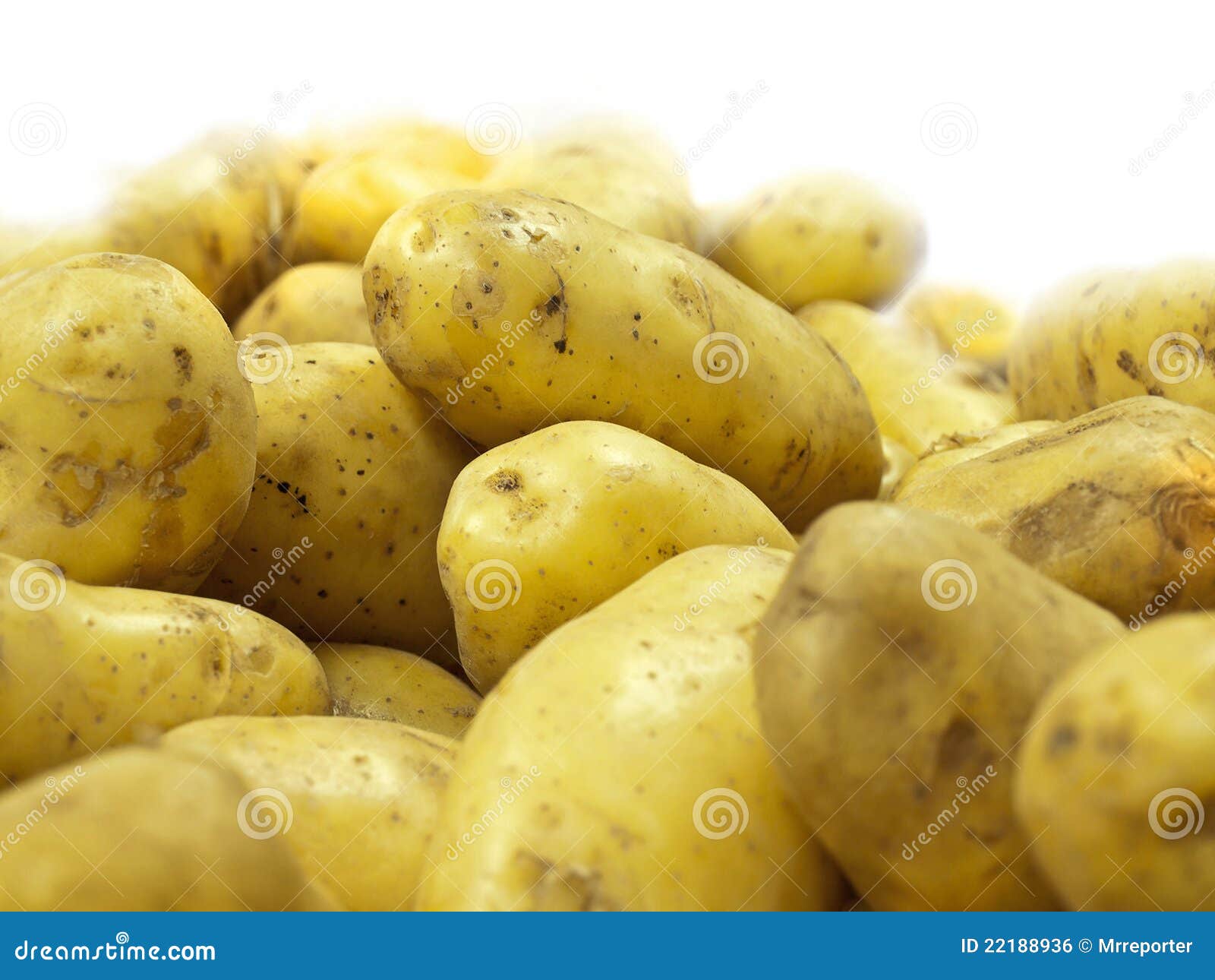 Potato stock photo. Image of heap, gastronomy, produce - 22188936