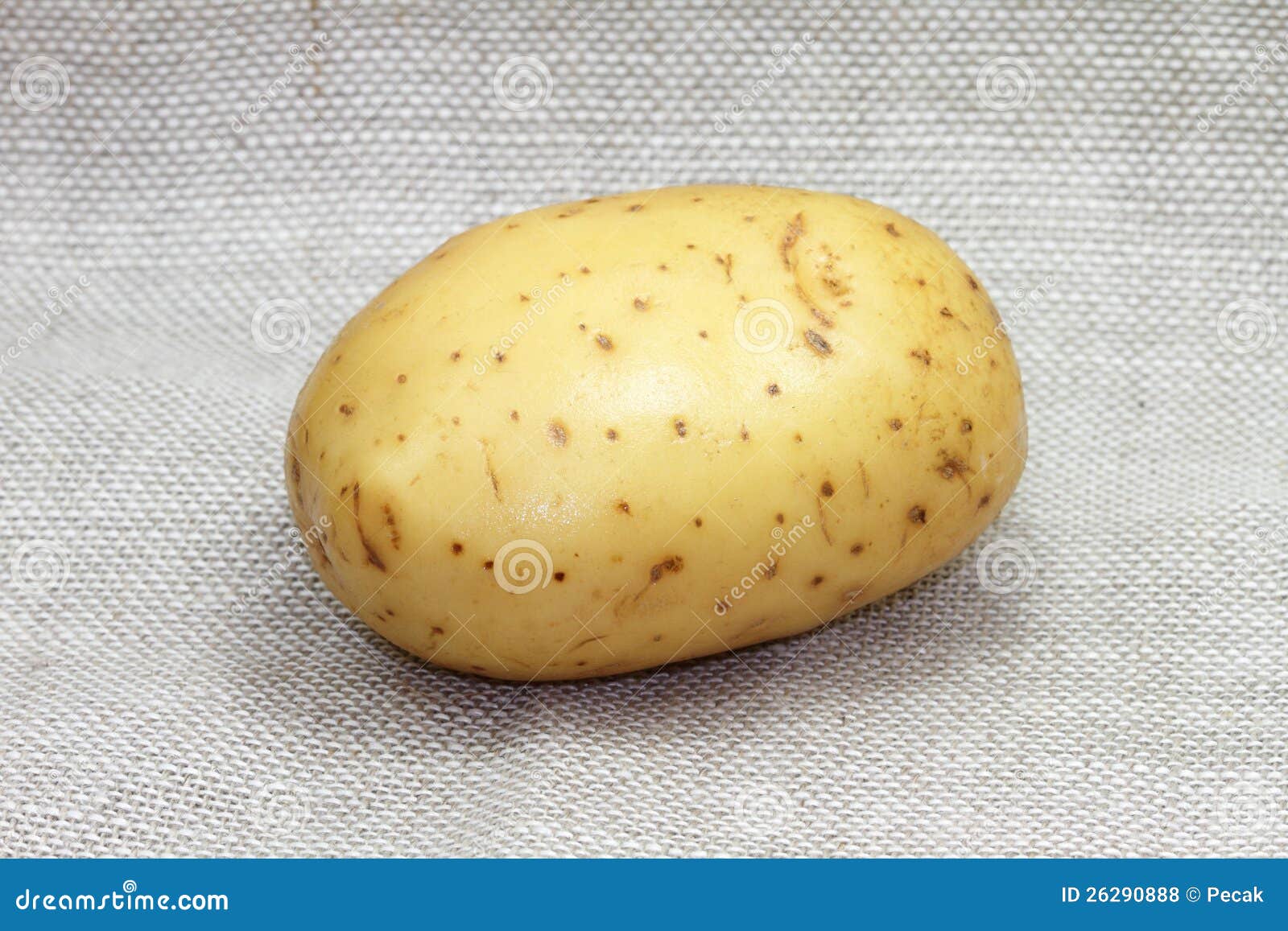 Potato stock photo. Image of agro, ingredients, carbohydrate - 26290888