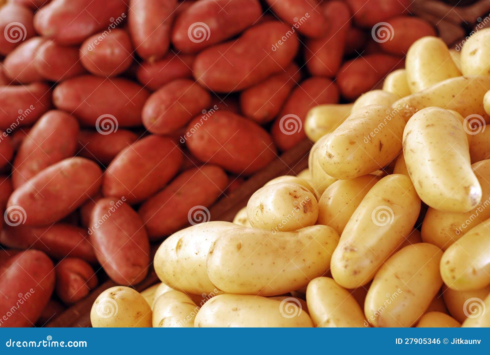 Potato stock photo. Image of closeup, healthy, group - 27905346